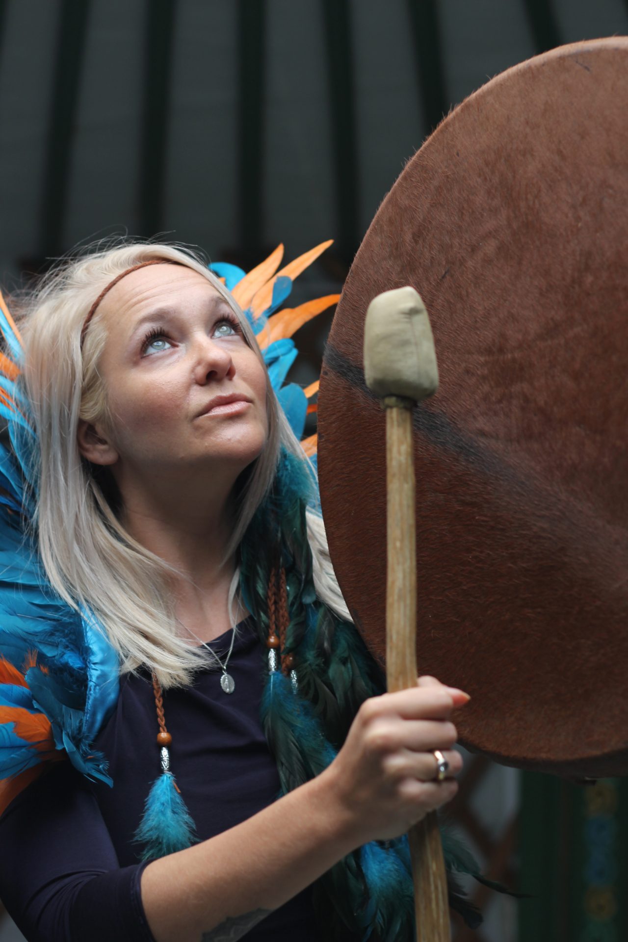 North - Shamanic Directions North Shamanic Healer Certification Training